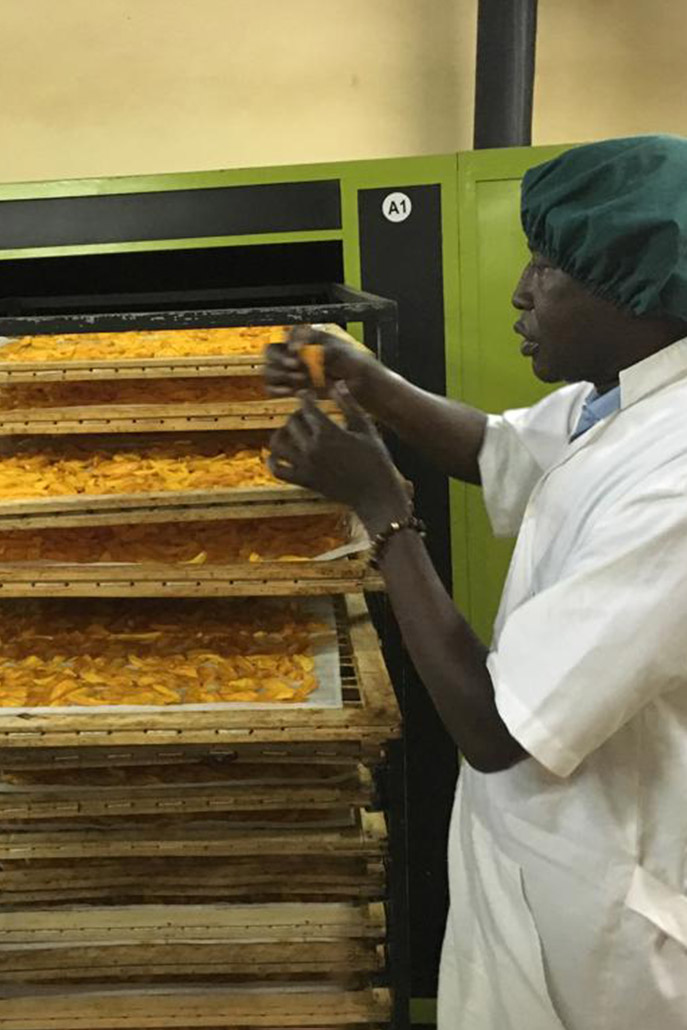 BuurSine International – Production & Export Organic (Bio) Fruits ...