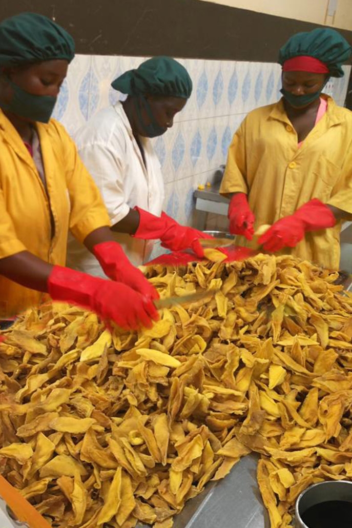 BuurSine International – Production & Export Organic (Bio) Fruits ...